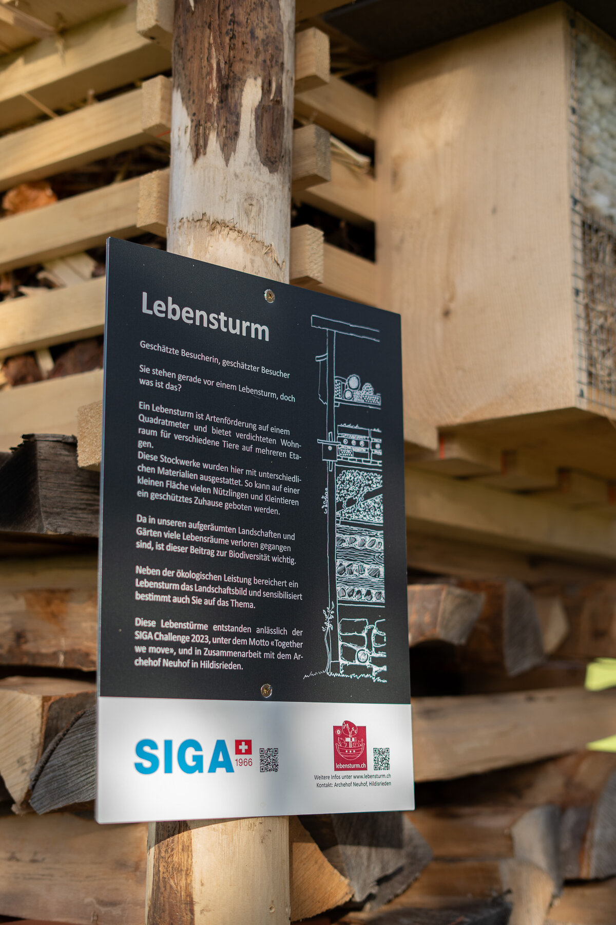 SIGA Challenge 2023 — Together We Move(d)